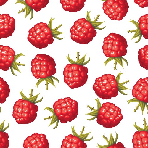 Raspberry Royalty Free Vector Image - VectorStock