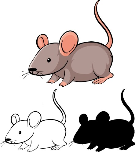 Rat Vector Images (over 30,000)