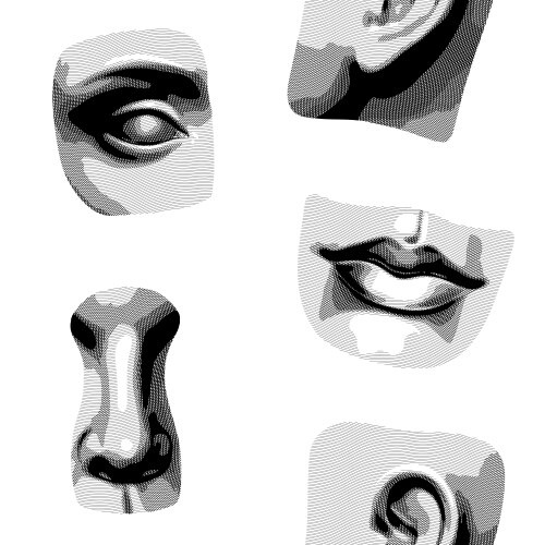 Face realistic human parts nose head eyes mouth Vector Image