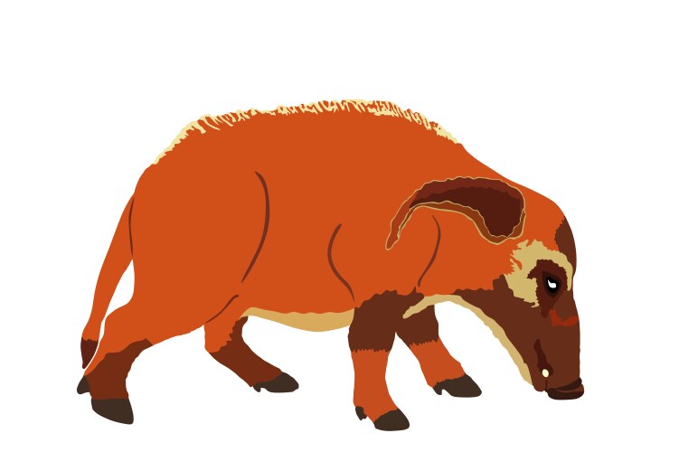 Bush Hog Vector Images (27)