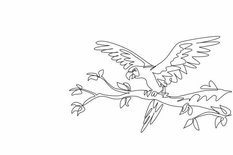Parrot Line Drawing Vector Images (over 2,500)