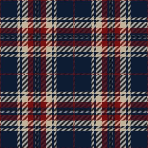 Red and brown tartan plaid scottish pattern Vector Image