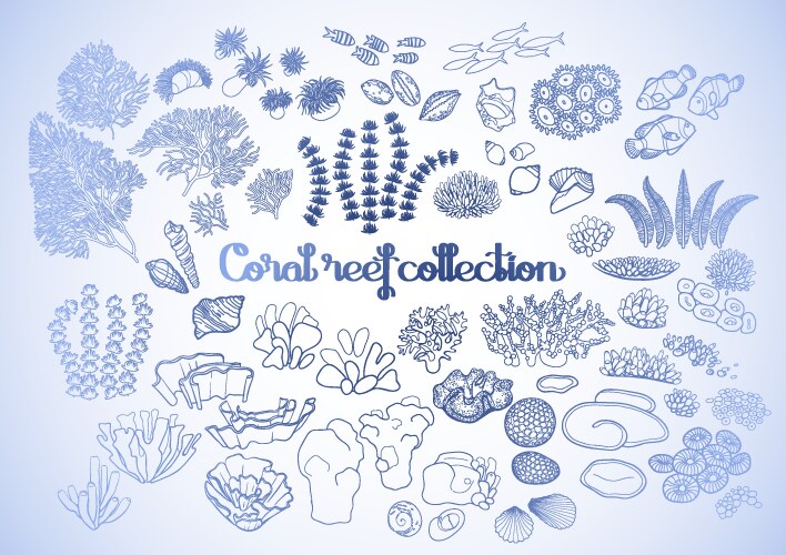 Coral reefs set Royalty Free Vector Image - VectorStock