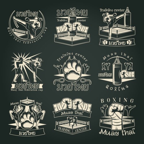 Muay Thai Vector Images (over 1,500)
