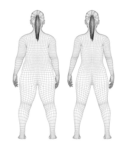 Fat And Slim Woman Before After Weight Loss Vector Image