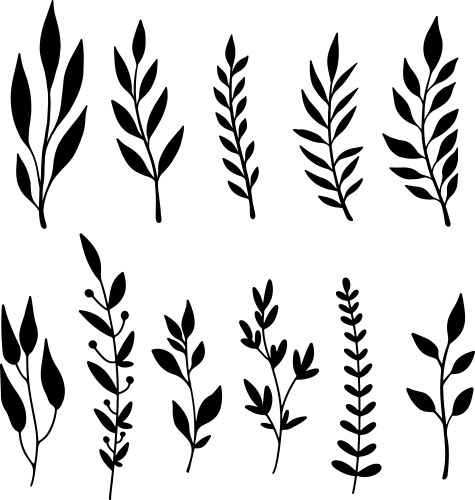 Set of hand drawn floral branches design element Vector Image