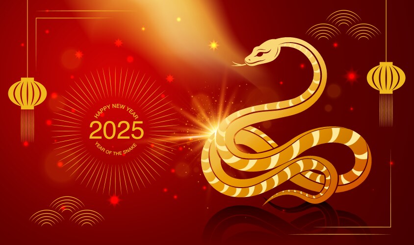 Lunar new year chinese 2025 Royalty Free Vector Image