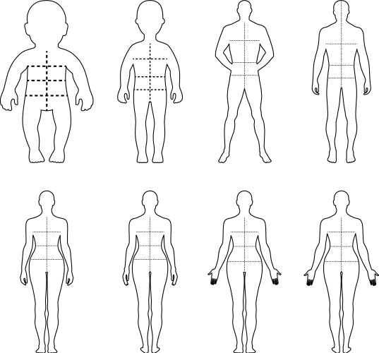 Body Outline Front Back Vector Images (over 9,300)