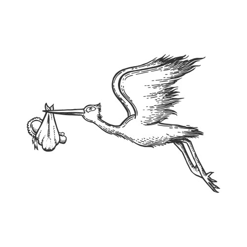 Stork carrying a baby in its beak Royalty Free Vector Image