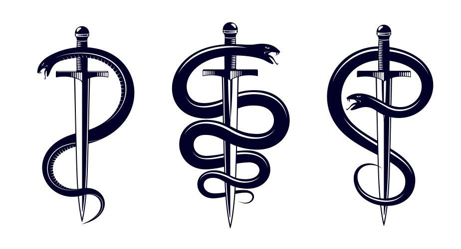 Snake and dagger serpent wraps around a sword Vector Image