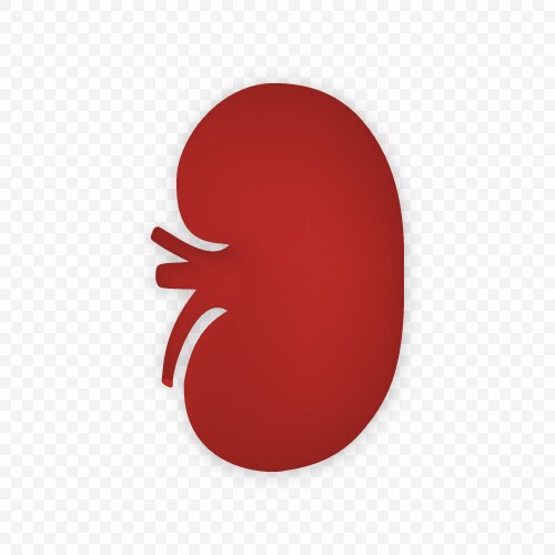 Renal Vector Images (over 4,300)