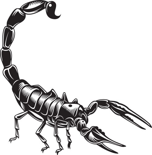 Cartoon happy scorpion Royalty Free Vector Image