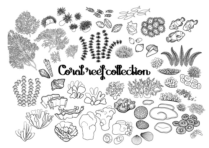 Coral Outline Vector Images (over 10,000)