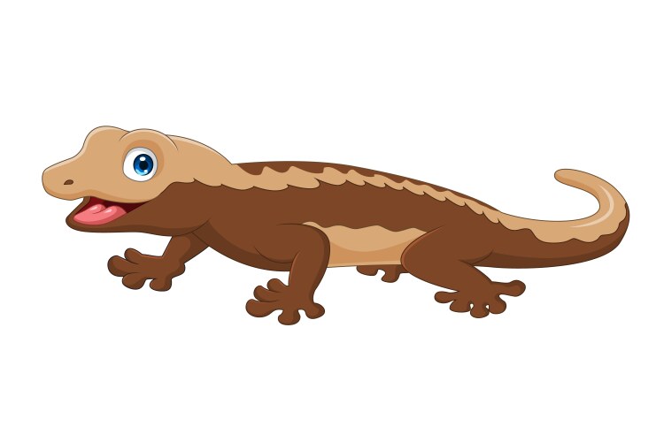 Gecko Vector Images (over 4,900)