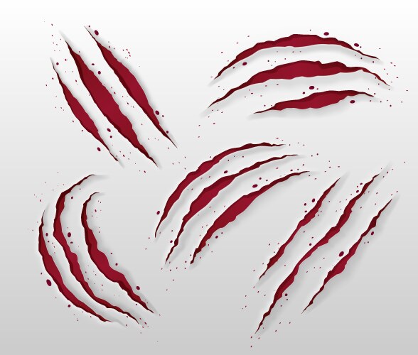 Claw Marks Vector Images (over 3,300)