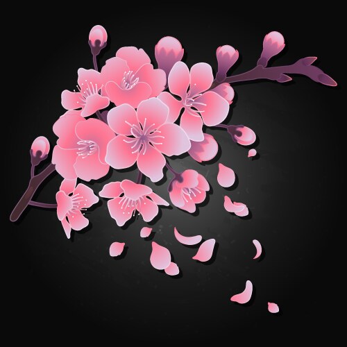 Graphic sakura flowers Royalty Free Vector Image