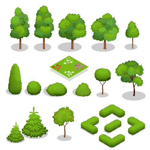 3d isometric plants trees bushes palms Royalty Free Vector