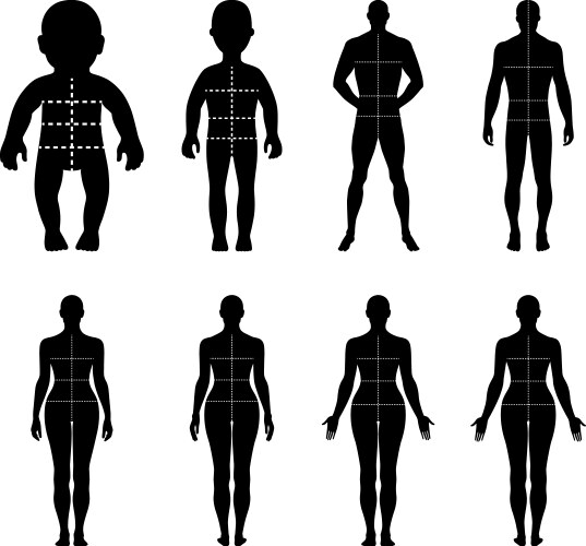 Human Body Silhouette Front And Back