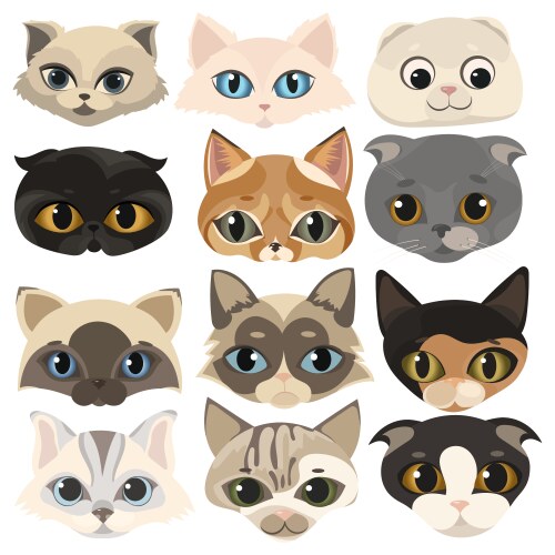 A set of cats collection cartoon kittens Vector Image