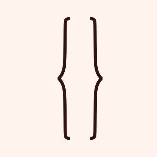 Double braces symmetric curly brackets pair Vector Image