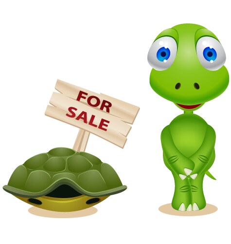 Cartoon funny turtle hides in its shell Royalty Free Vector