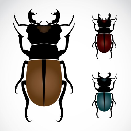 Watercolor bug beetle Royalty Free Vector Image