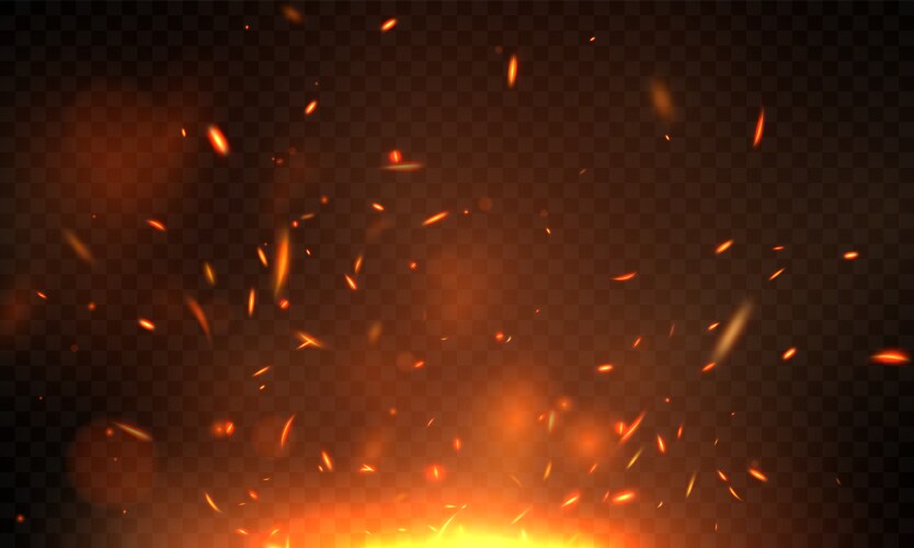 Fire sparks abstract circle light effect Vector Image