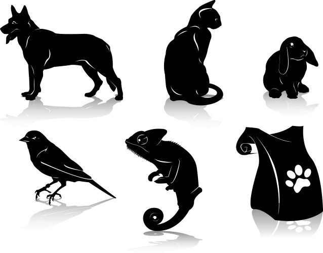Pet Vector Images (over 640,000)