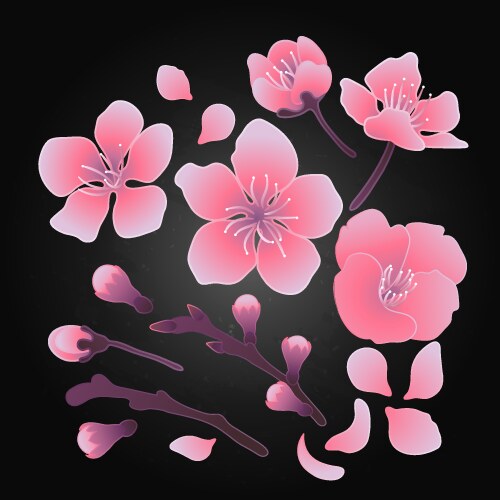 Graphic sakura flowers Royalty Free Vector Image