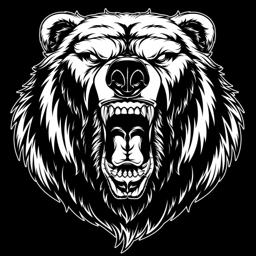 Bear Head Outline Vector Images (over 4,900)