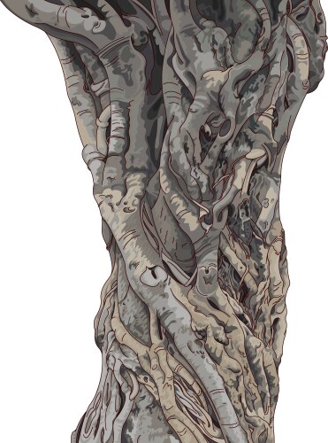 Trunk Vector Images (over 91,000)