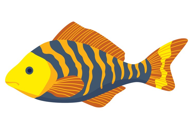 Aquarium fish beautiful underwater character Vector Image