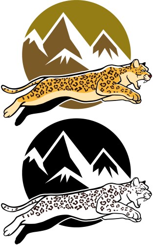 Leopard logo design Royalty Free Vector Image - VectorStock