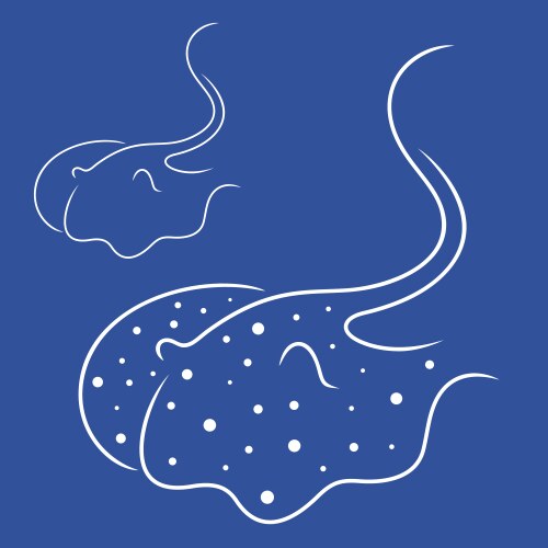 Manta ray over a reef Royalty Free Vector Image