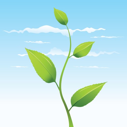 Free Plant Vector Images (over 53,000)