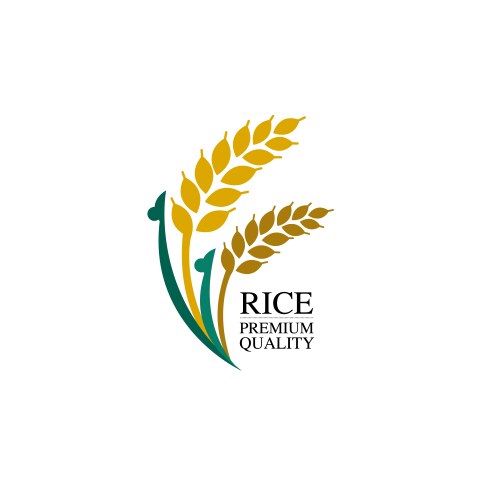 Premium rice great quality design concept Vector Image
