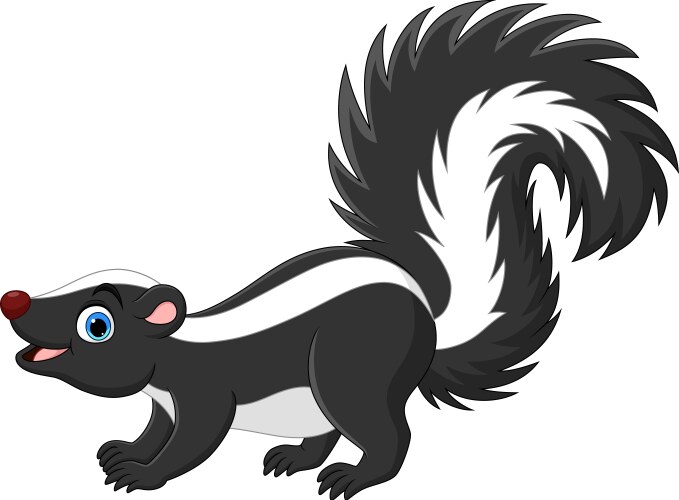Cute skunk cartoon Royalty Free Vector Image - VectorStock