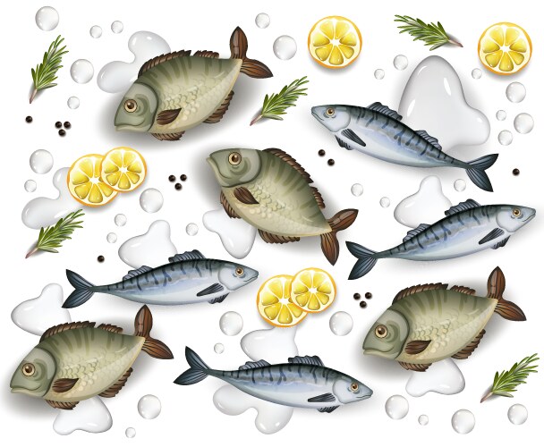 Fish icon set realistic Royalty Free Vector Image