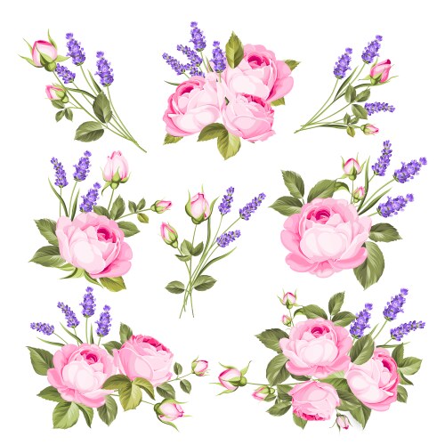 Set blooming flowers for your design Royalty Free Vector