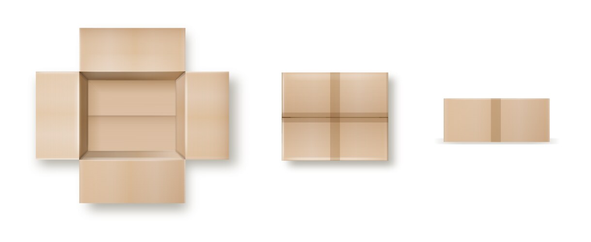 Box empty open and closed cardboard Royalty Free Vector