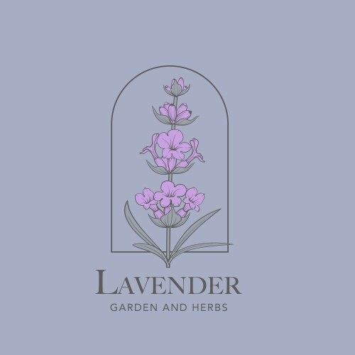 Lavender flower logo floral design label Vector Image