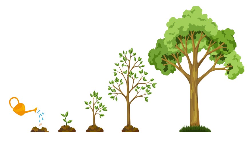 Seed growing into tree Royalty Free Vector Image