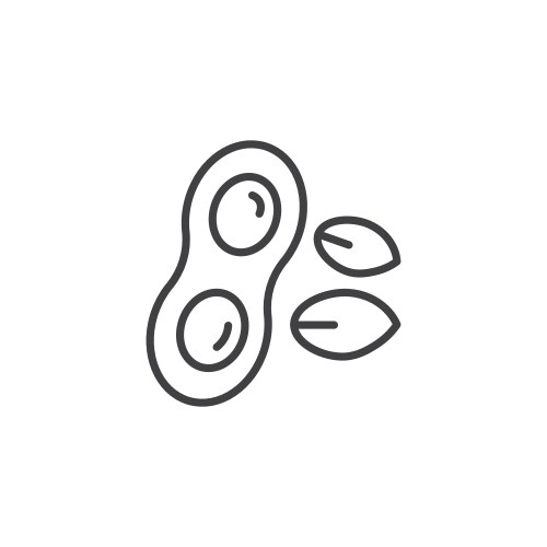 Peanut icon set on white background Royalty Free Vector