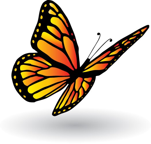 Butterfly Vector Images (over 190,000)