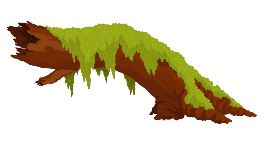 Log stump in moss cartoon tree lichen swamp Vector Image