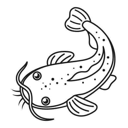 Catfish Outline Vector Images (over 1,100)