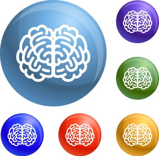 Medulla Oblongata Vector Images (over 100)
