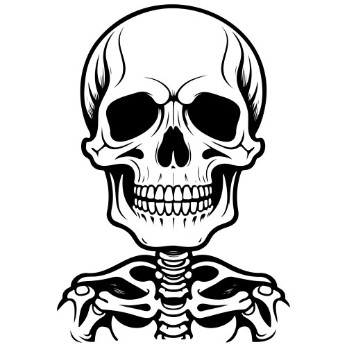 Sketches skeleton drawing line head art Royalty Free Vector