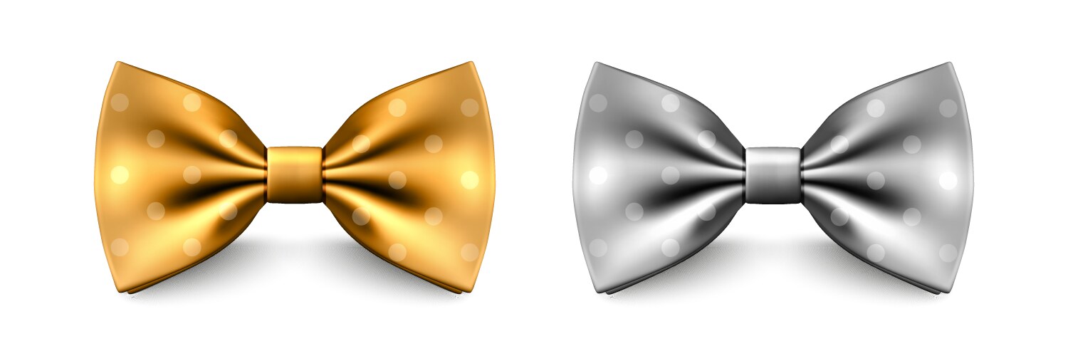 Silver bow Royalty Free Vector Image - VectorStock