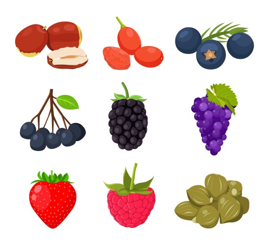 Collection berries Royalty Free Vector Image - VectorStock